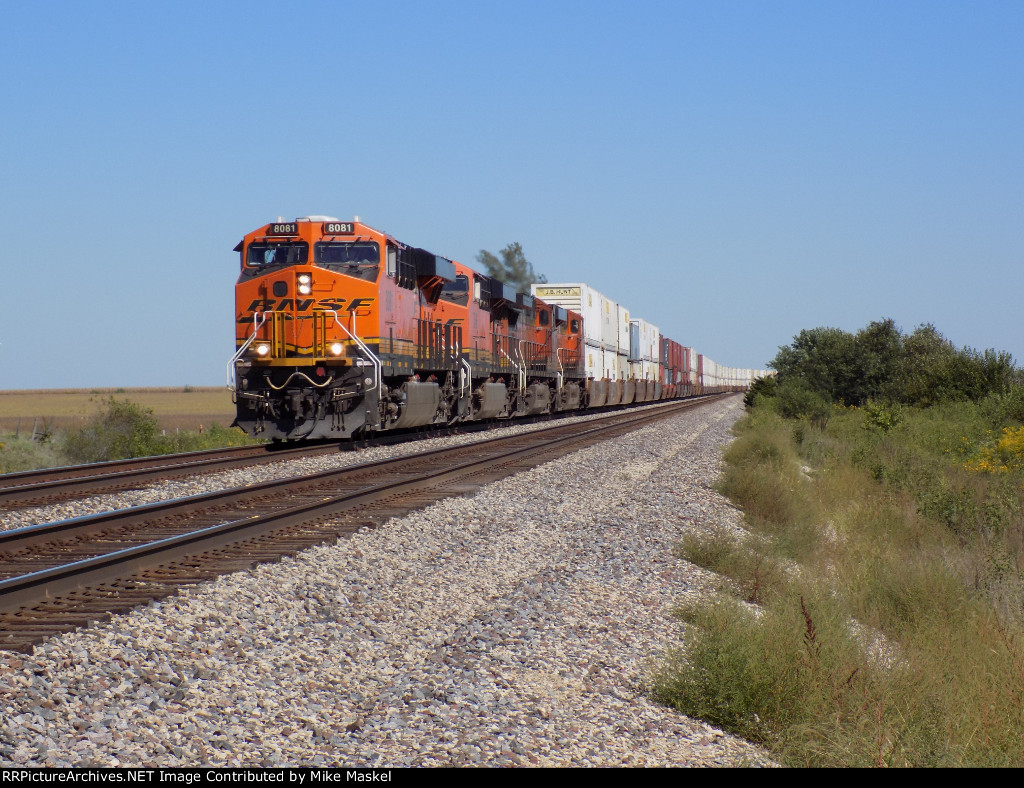 BNSF 8081